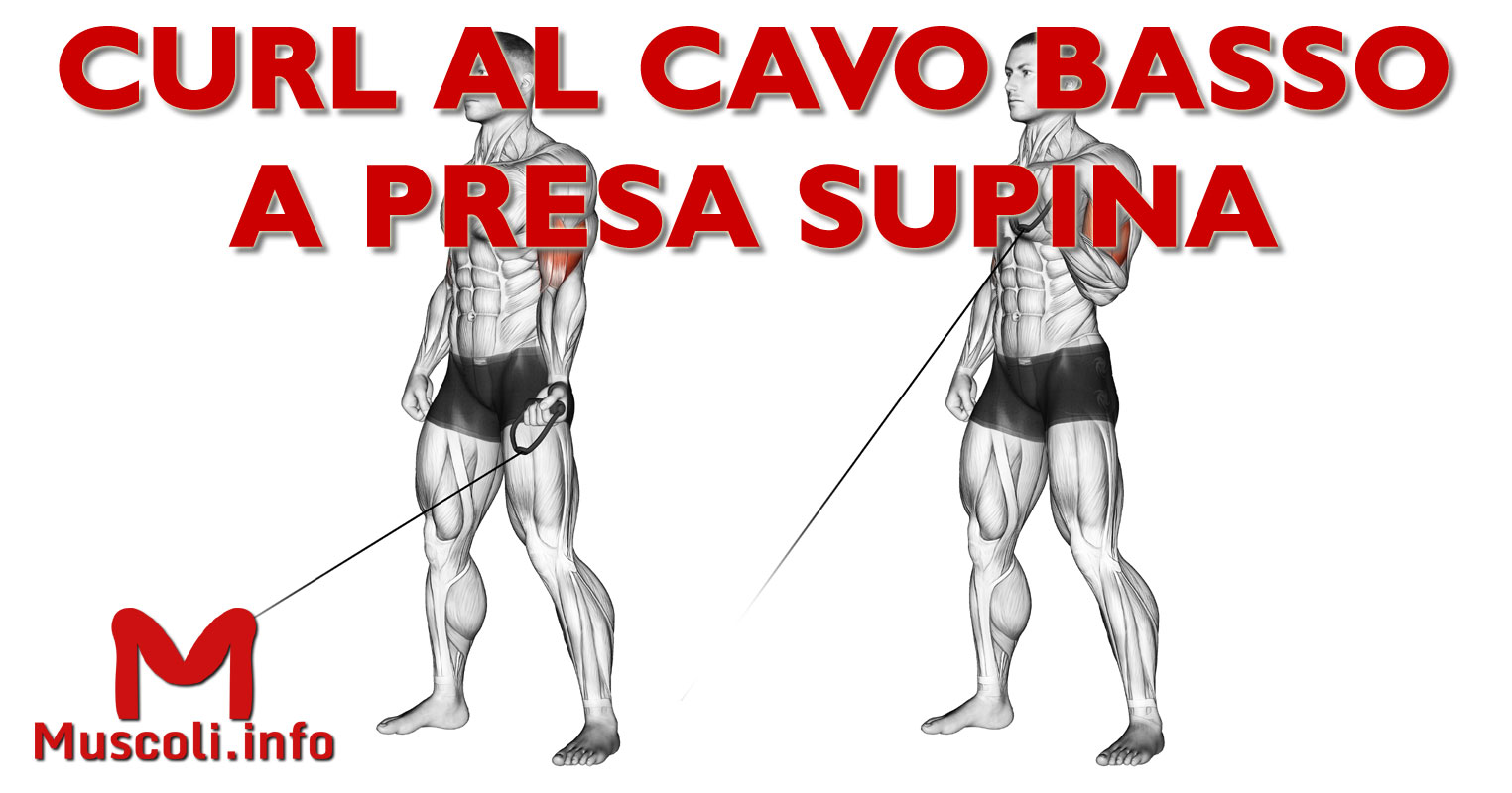Curl ad un braccio al cavo basso a presa supina - esercizio per ...