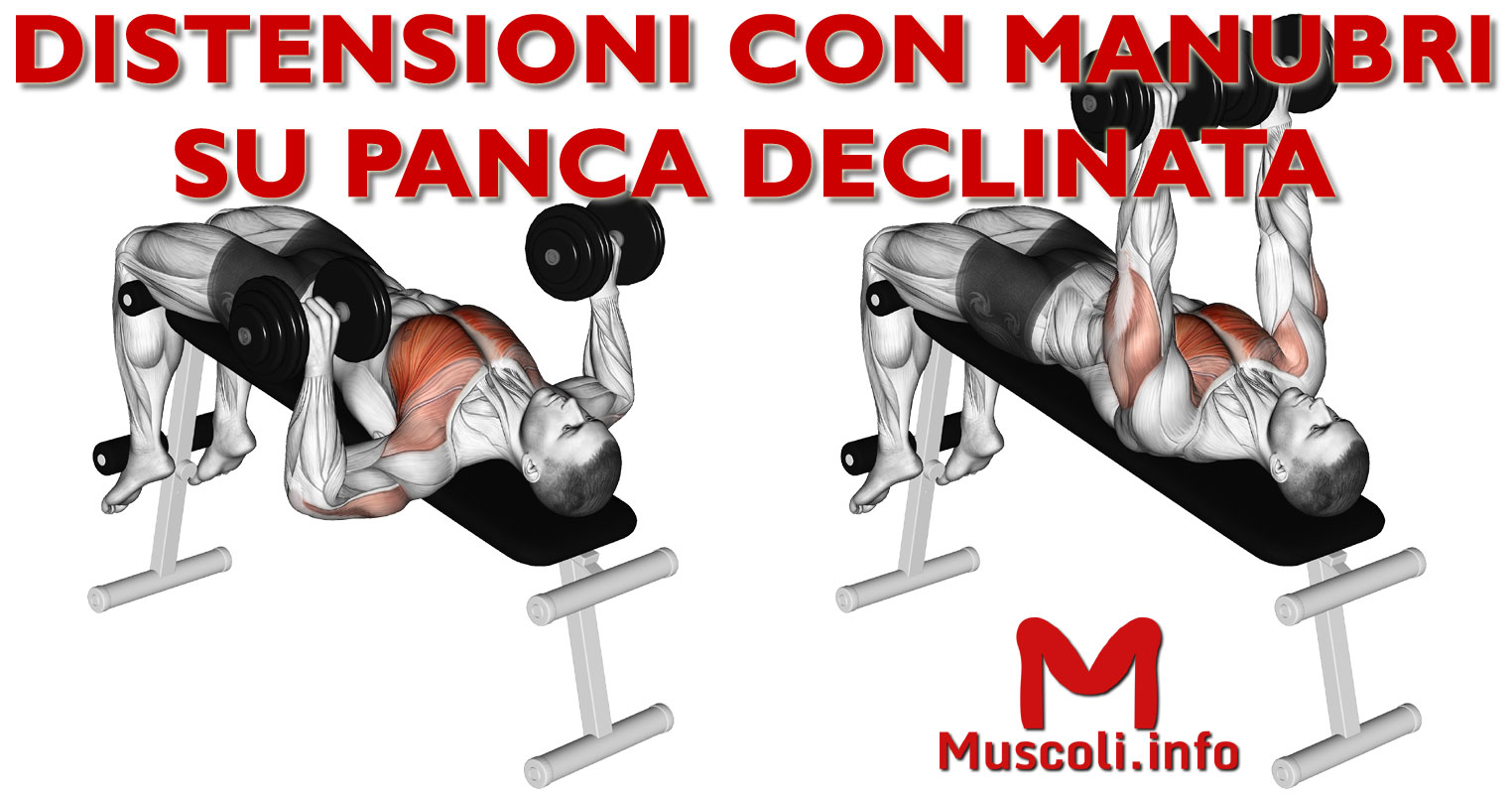 Distensioni con manubri su panca declinata - esercizio per pettorali ...