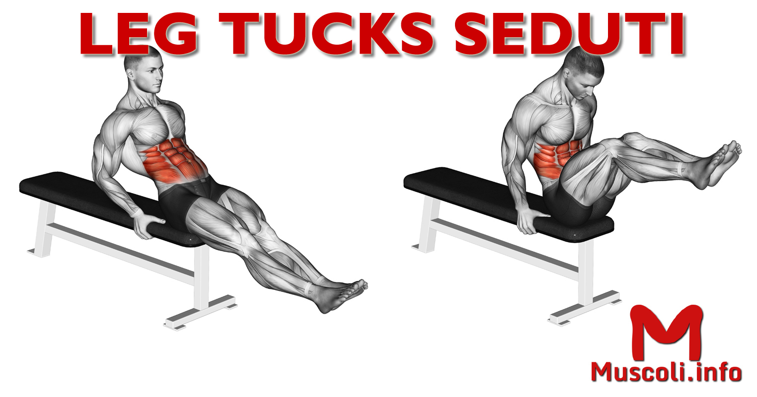 Leg tucks da seduti - esercizio per addominali - Muscoli.info