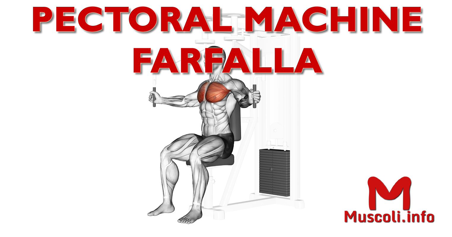 Croci alla pectoral machine - farfalla - esercizio per pettorali ...