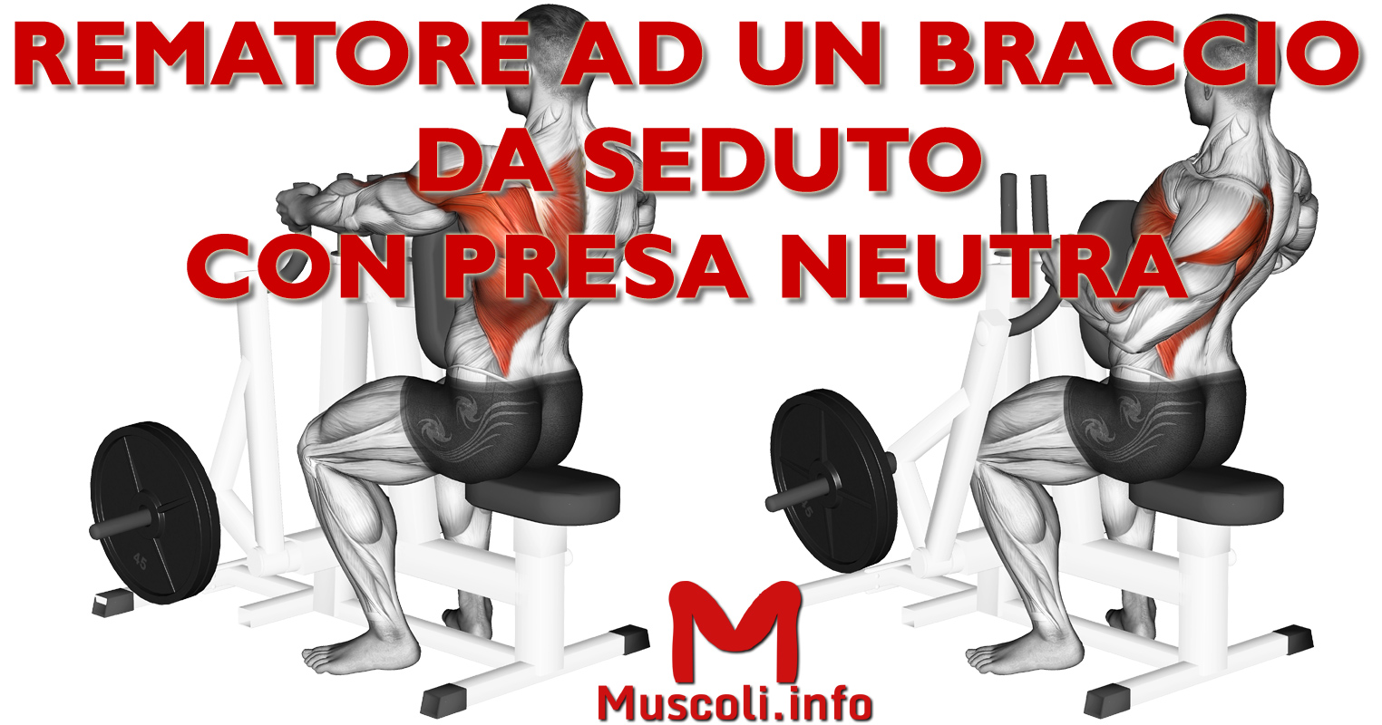 Rematore ad un braccio da seduto alla macchina a presa neutra stretta ...