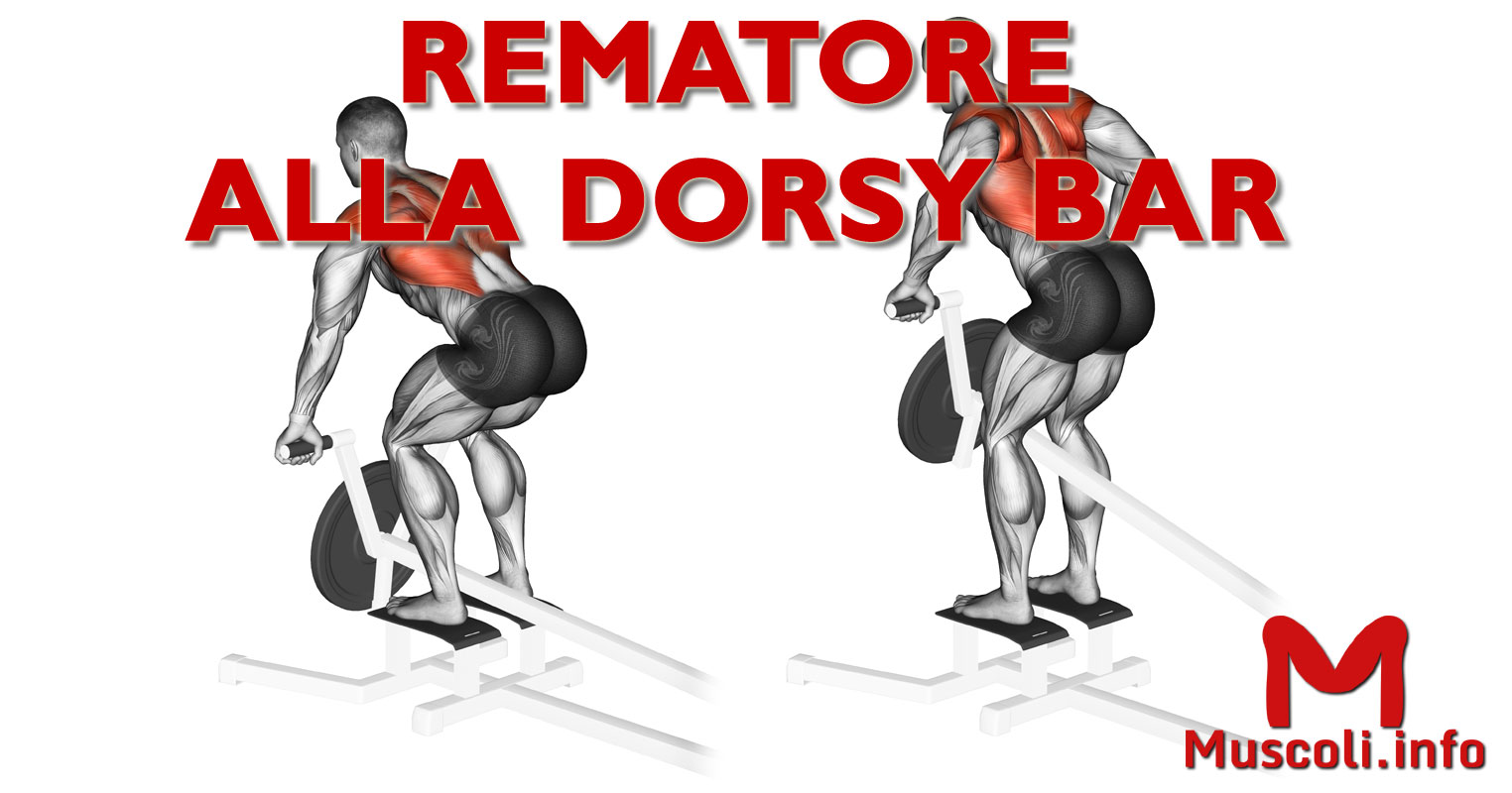 Rematore alla dorsy bar o barra a T a presa prona larga - esercizio per ...