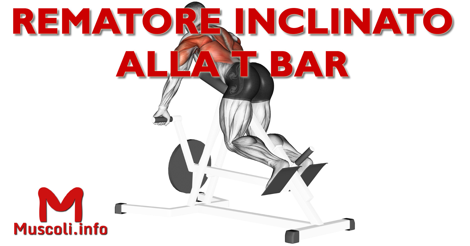 Rematore inclinato alla dorsy bar o barra a T con supporto toracico a ...