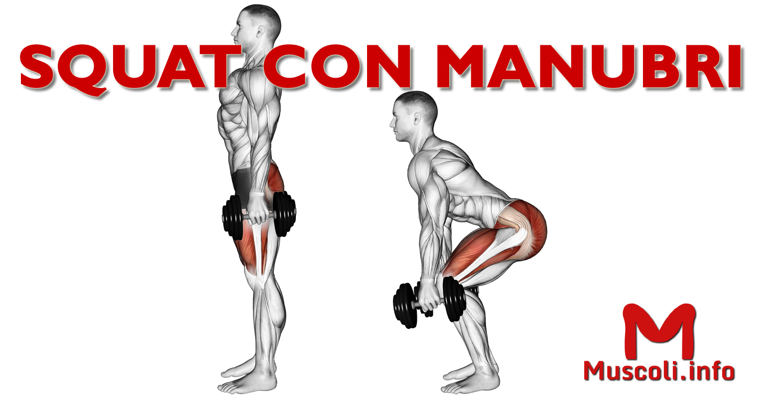 Squat con manubri - esercizio per gambe - Muscoli.info