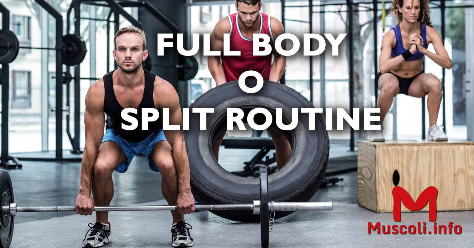 Allenamento Full body o Split routine - Muscoli.info