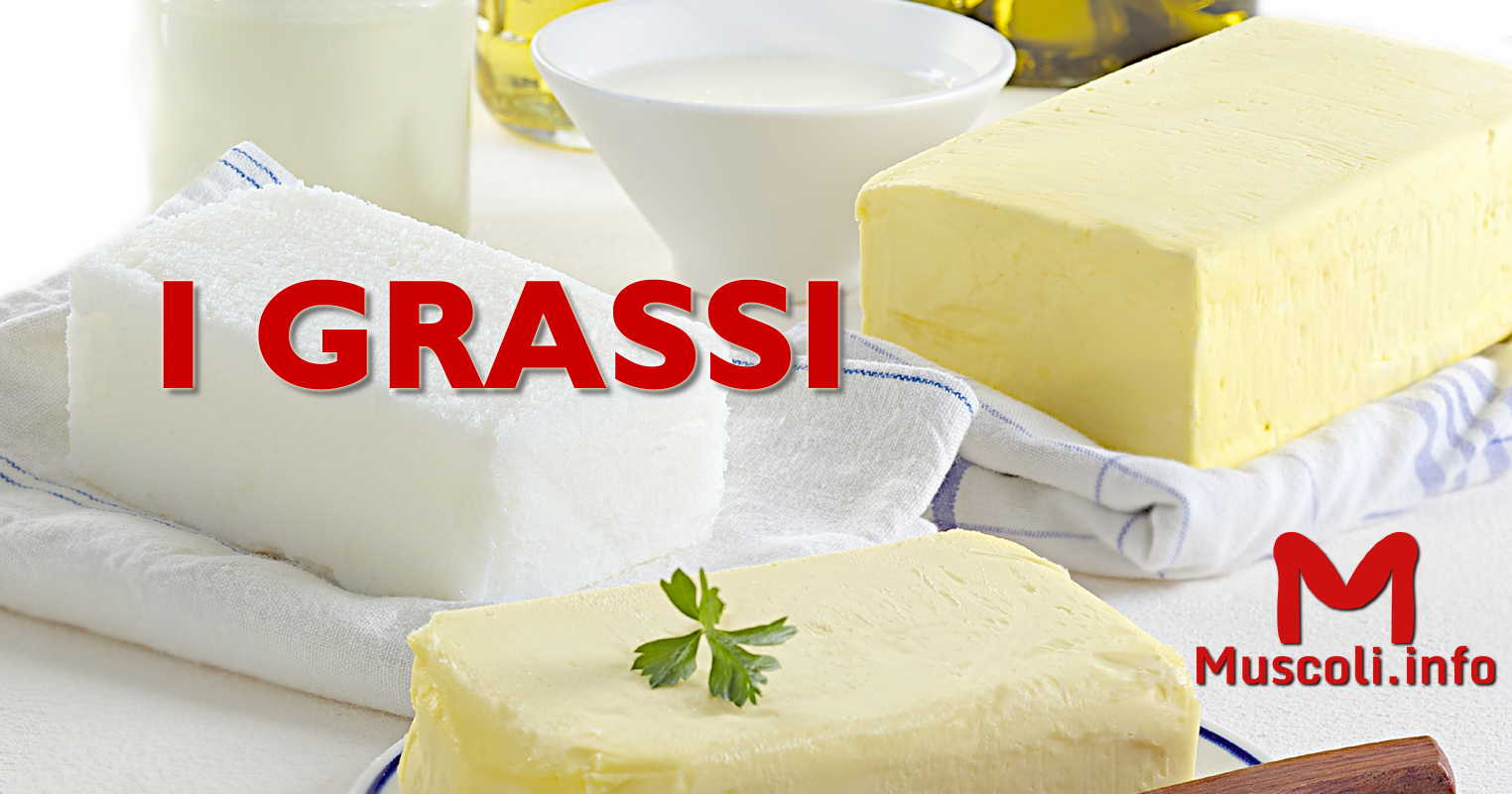 I grassi - Muscoli.info